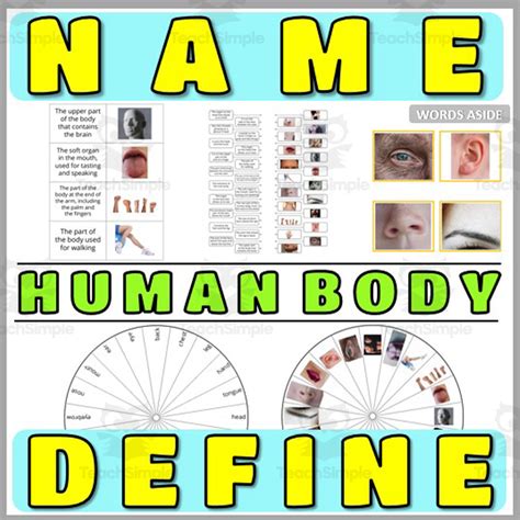 Concept Nouns Naming And Definitions 5 By Teach Simple