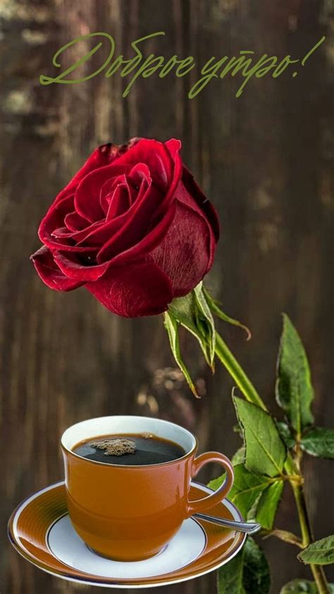 Доброе утро Good Morning Beautiful Flowers Pretty Flowers Photography Good Morning Flowers 