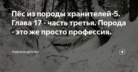 Пёс из породы хранителей-5. Глава 17 - часть третья. Порода - это же ...