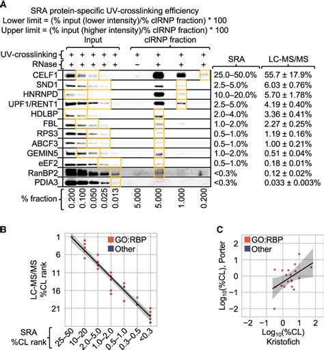 High Throughput Quantitation Of Protein Rna Uv Crosslinking