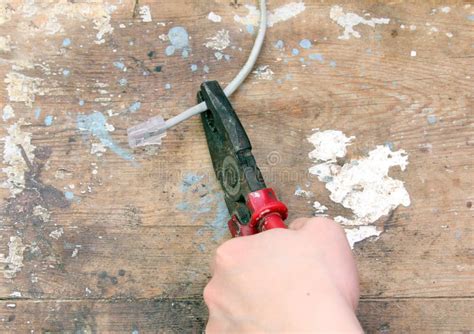 Cutting Internet Cable Stock Image Image Of Cable Link