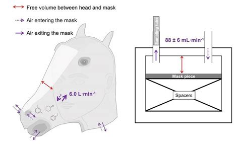 Figure S3 Schematic Diagram Of The Setup For Dolls Head Exposure Download Scientific Diagram