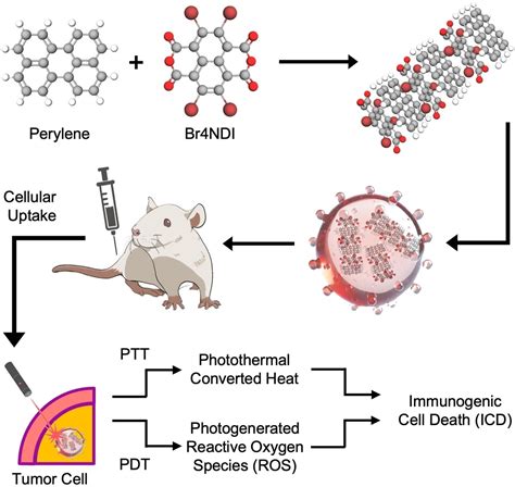 Synergistic Cancer Photoimmunotherapy By Harnessing Near‐infrared‐activated Nanoparticles