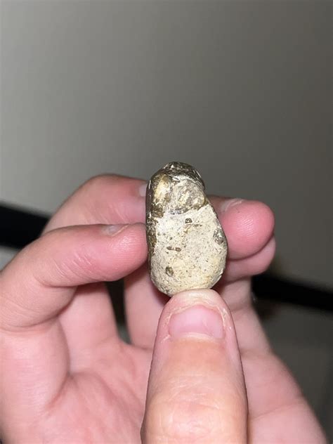 Is This A Fossil Mold Or Cast R Fossils