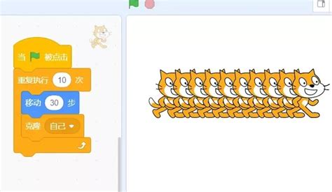 scratch中的私有变量是什么？ scratch编程