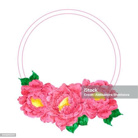 손으로 그린 수채화 마젠타 모란 꽃 둥근 프레임 흰색 배경에 격리되어 있습니다 스크랩북 엽서 배너 레이블 포스터 0명에 대한 스톡 벡터 아트 및 기타 이미지 Istock