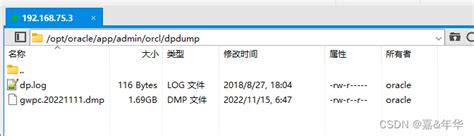 【第006篇】通过impdp命令导入dmp文件到oracle11g数据库中 impdp导入dmp文件命令 csdn博客