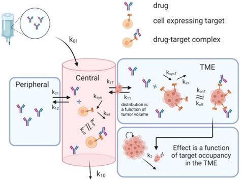 Michael Evans On Linkedin Minimally Sufficient Experimental Design Using Identifiability