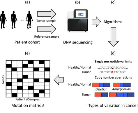Figure 1 1 From Methods For Identifying Combinations Of Driver Mutations In Cancer Semantic