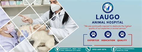 Live The Senate Of The Philippines Resumes Its Session Today June 11 2025 Live The Senate