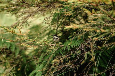 Preventing And Disabling Implicit Measures