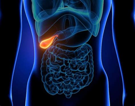 Can You Live Without A Gallbladder Adam Bartlett