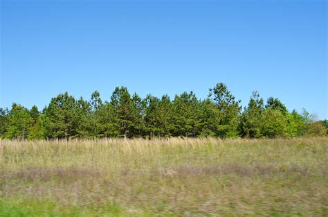 Field With Tree Line Background Stock 0285 Fave By Annamae22 On Deviantart