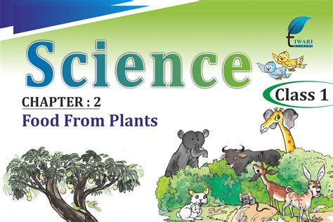 Class 1 Science Chapter 2 Food From Plants Question Answers In Pdf