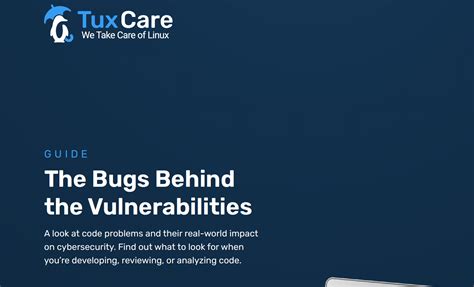 Ebook The Bugs Behind The Vulnerabilities Industrial Cyber