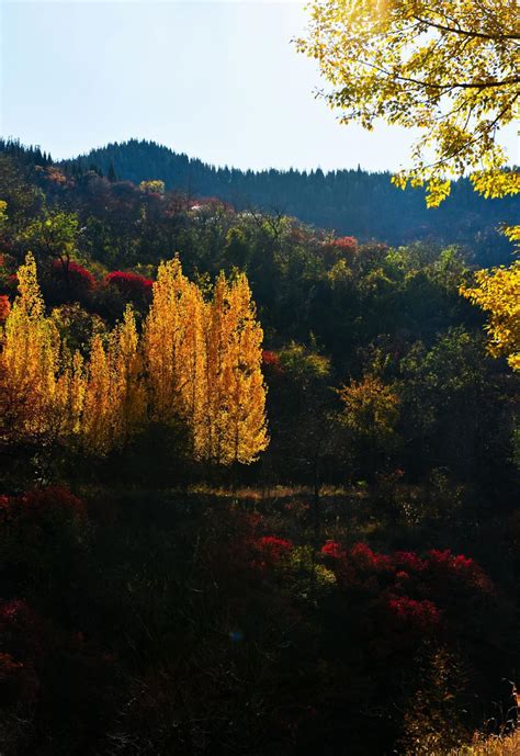 山东淄博市的人民注意了 从这个角度看博山县这么美丽博山县淄博市山区新浪新闻
