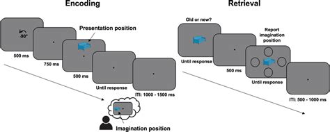 Schematic Illustration Of The Experimental Procedure In The Encoding