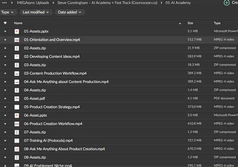Steve Cunningham â€“ Ai Academy Fast Track Coursocean