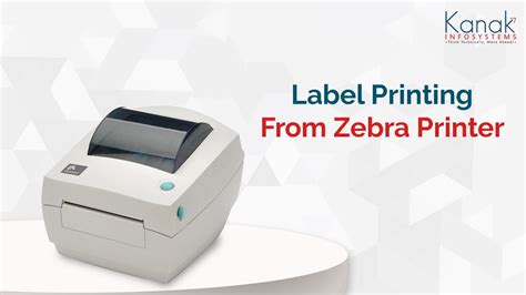 Label Printing On Zebra Printer Zebra Labels In Odoo Zpl Functioning And Configuration Youtube