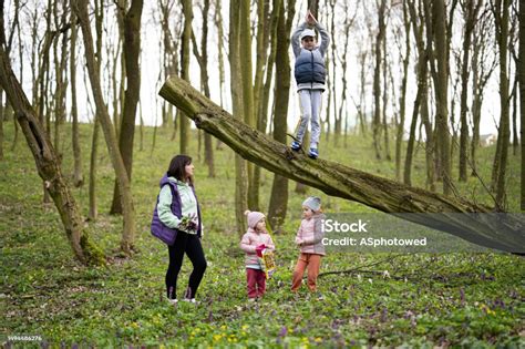아이들과 소년을 데리고 있는 어머니는 봄 숲에서 쓰러진 나무에 올라갔다 행복한 어린 시절의 순간 2 3 살에 대한 스톡 사진 및 기타 이미지 Istock
