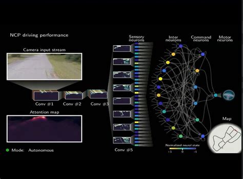 Saad Zahid On Linkedin Neuralnetworks Artificialintelligence Ai