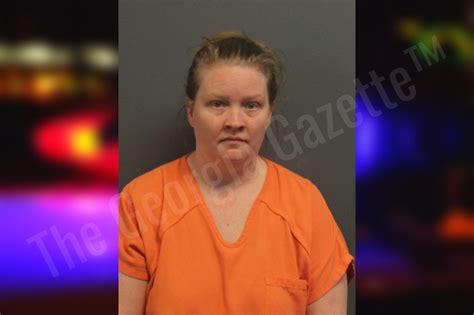 Ashley Ramey — Lumpkin County Jail Bookings
