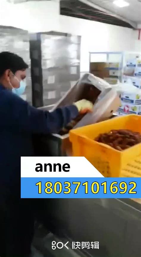 Date Cleaning Jujube Processing Equipment Jujubes Dried Dates Washing