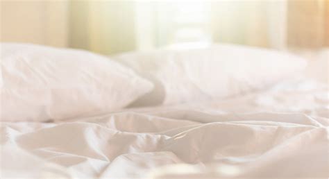 Protein Calculator The Pause Life By Dr Mary Claire Haver