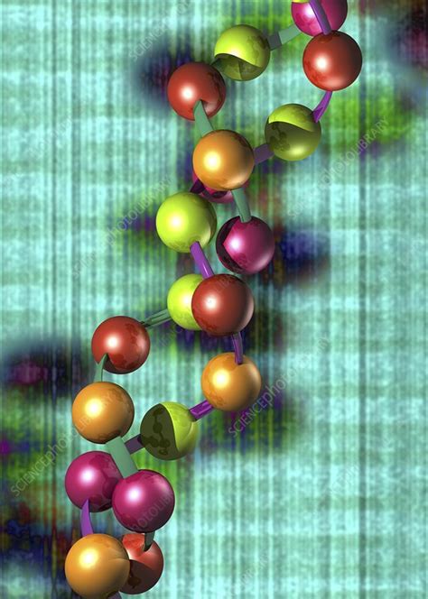 Dna Molecule Artwork Stock Image C0156673 Science Photo Library