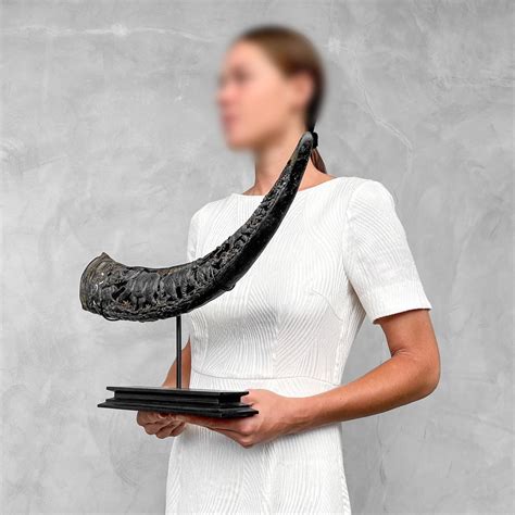 Carving No Reserve Price Finely Engraved Horn Of A Water Buffalo On A Custom Stand Elephant
