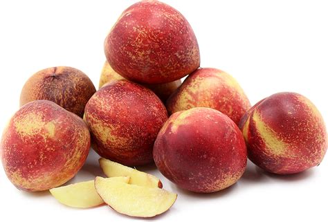 Ben B Seattle Plant Collector Nectarine Varieties Which One Is