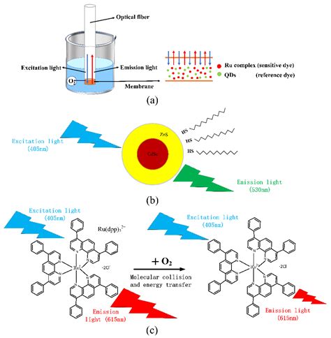 Dissolved Oxygen Molecule