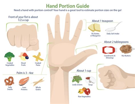 Mastering Meal Proportions The Hand Portion Method Team Pscarb Coaching