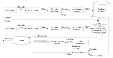 local and holistic feature fusion for occlusion robust 3d ear recognition