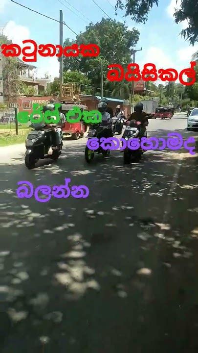 කටුනායක බයිසිකල් රේස් එක Youtube