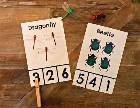 Bug Count And Clip Cards Count And Clip Cards Bugs Printables