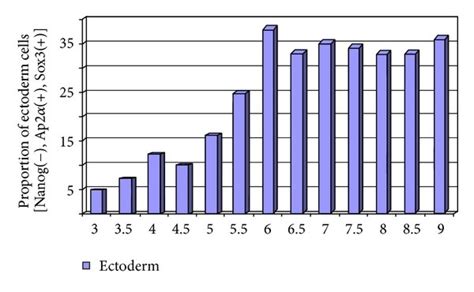 Possible Outcome For Ectodermal Differentiation In This Example Using Download Scientific