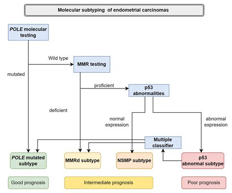 Integration Of The Molecular Classification Of Endometrial Carcinoma To