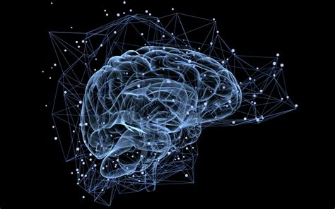 Tapping Into The Default Mode Network Dmn Unlocking Creativity And
