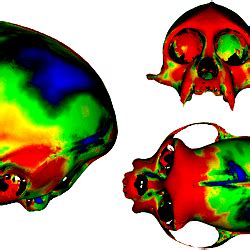 A Heat Map Of The Variance From The Prototype For The Single Species Sample With Size Removed