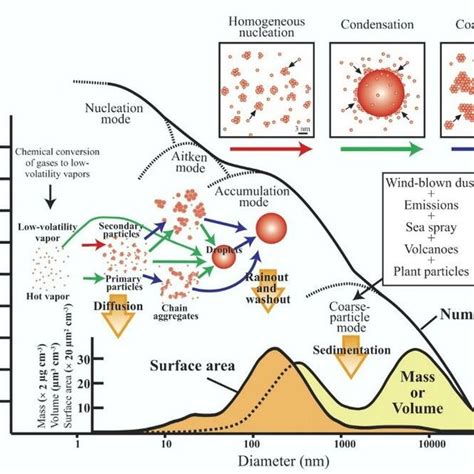 Representation Of Aerosol Size Distribution And Main Processes Of The Download Scientific