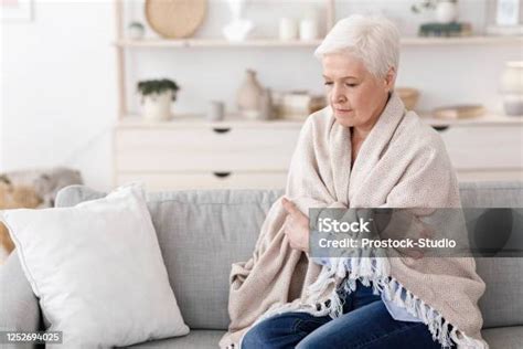고온으로 떨고 담요로 덮인 소파에 앉아 있는 선배 추운 온도에 대한 스톡 사진 및 기타 이미지 추운 온도 노인 감기와 독감 Istock