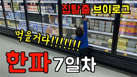 집 탈출 폭설 7일차 미국 브이로그 🇺🇸 얼마만의 세상 식재료 폭풍 장보고 반찬 만들고 냉털 또 하고 한국 치킨 만들어먹은 미국일상 😇 미국 폭설 Youtube