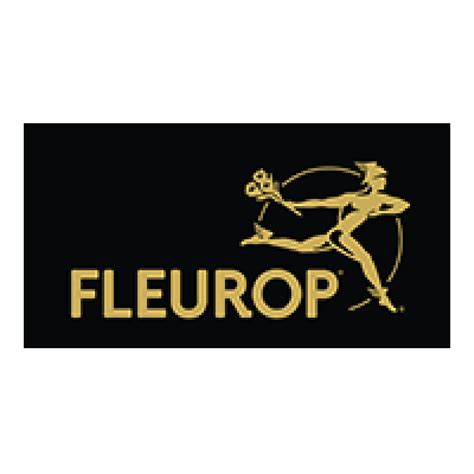 Intelligent Automation Expert In Bi And Rpa Oplossingen Peacock