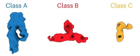 Unveiling The Hidden Role Of Mrna Discovering Rna Switches In Human