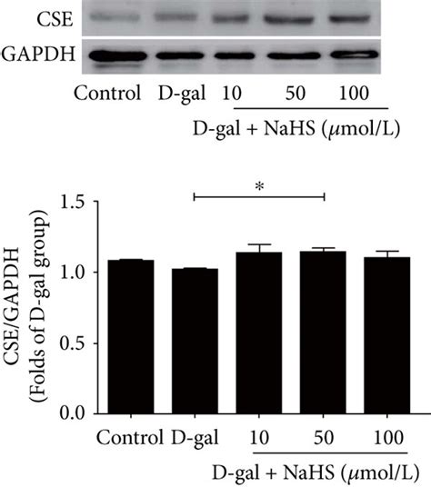 Effects Of Nahs Treatment On The Expression Of H2s Producing Enzymes In