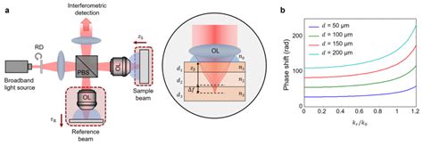 Mapping Nanoscale Topographic Features In Thick Tissues With Speckle
