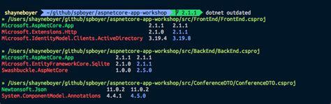 Using Global Tool Dotnet Outdated To Check For The Latest Nuget Package Updates