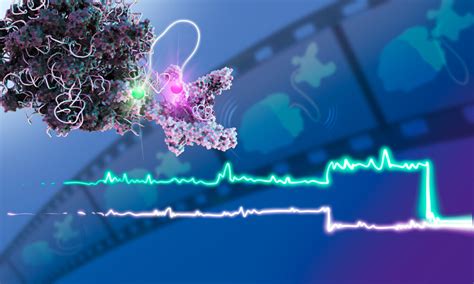Darwin Tree Of Life First Genome Assemblies Released As Project Creates A Buzz EMBL