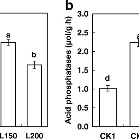 Root Activity And Acid Phosphatase Activity In Adzuki Bean Seedlings